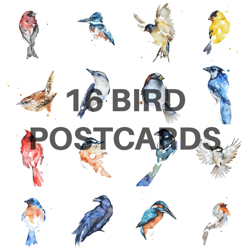 Bird Postcards - Etsy
