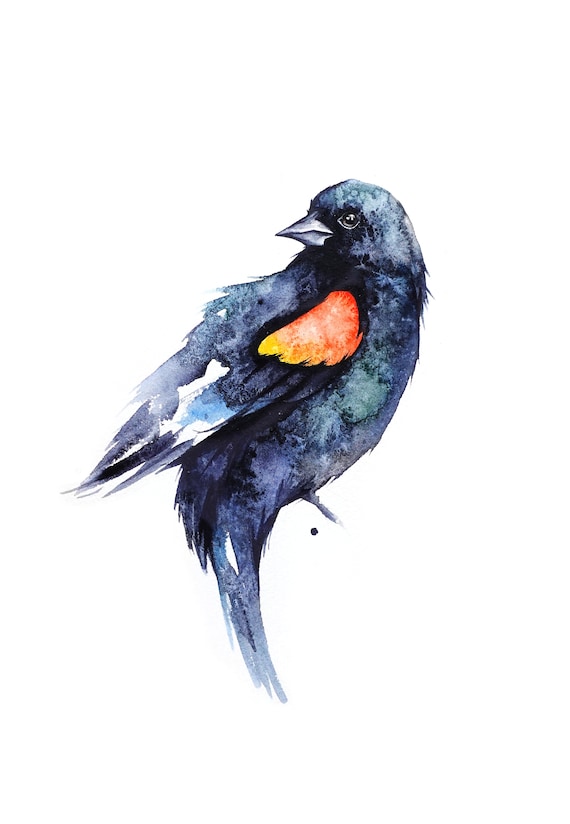 Audubon Blackbird Painting