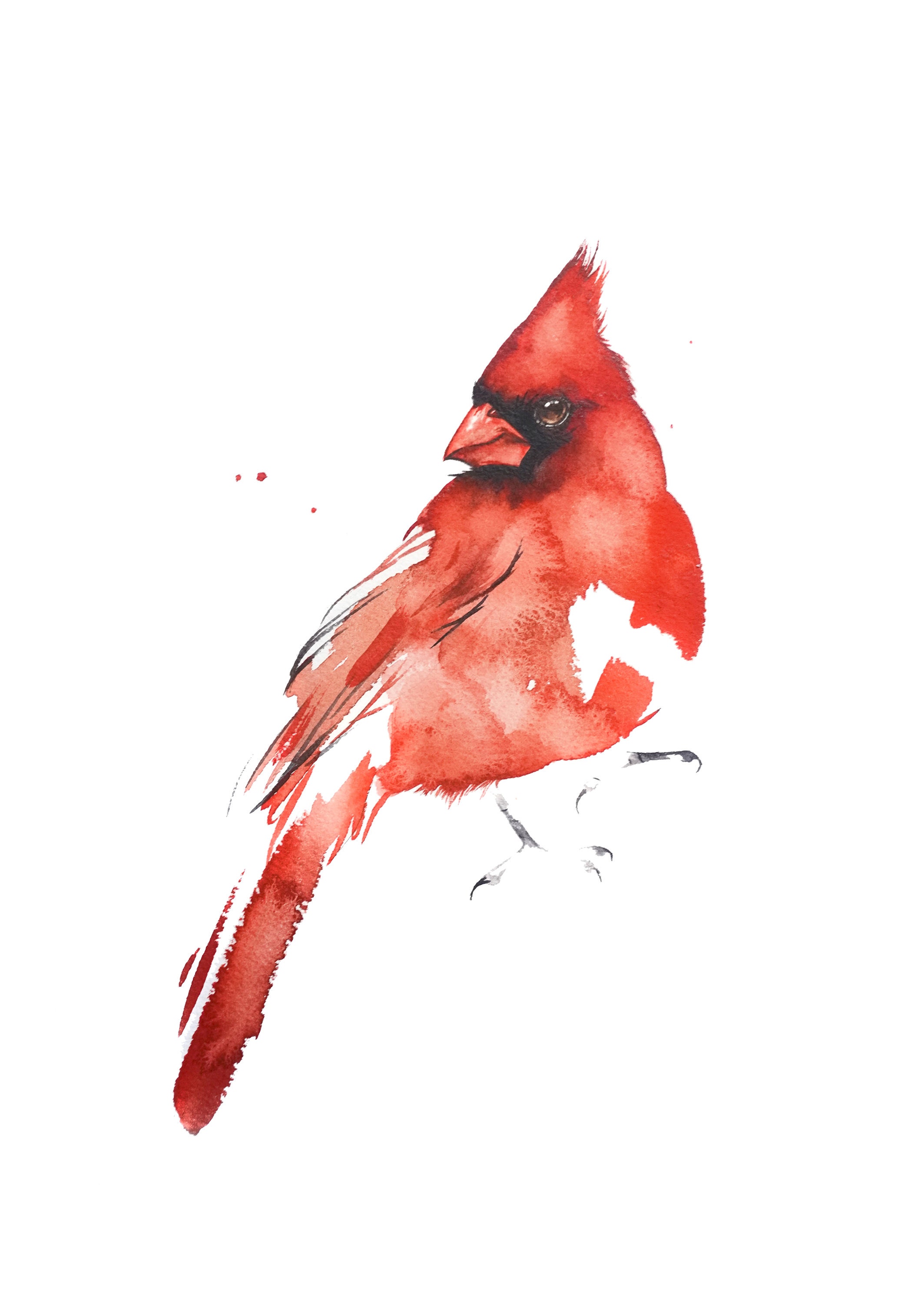 Northern Cardinal Print - Etsy