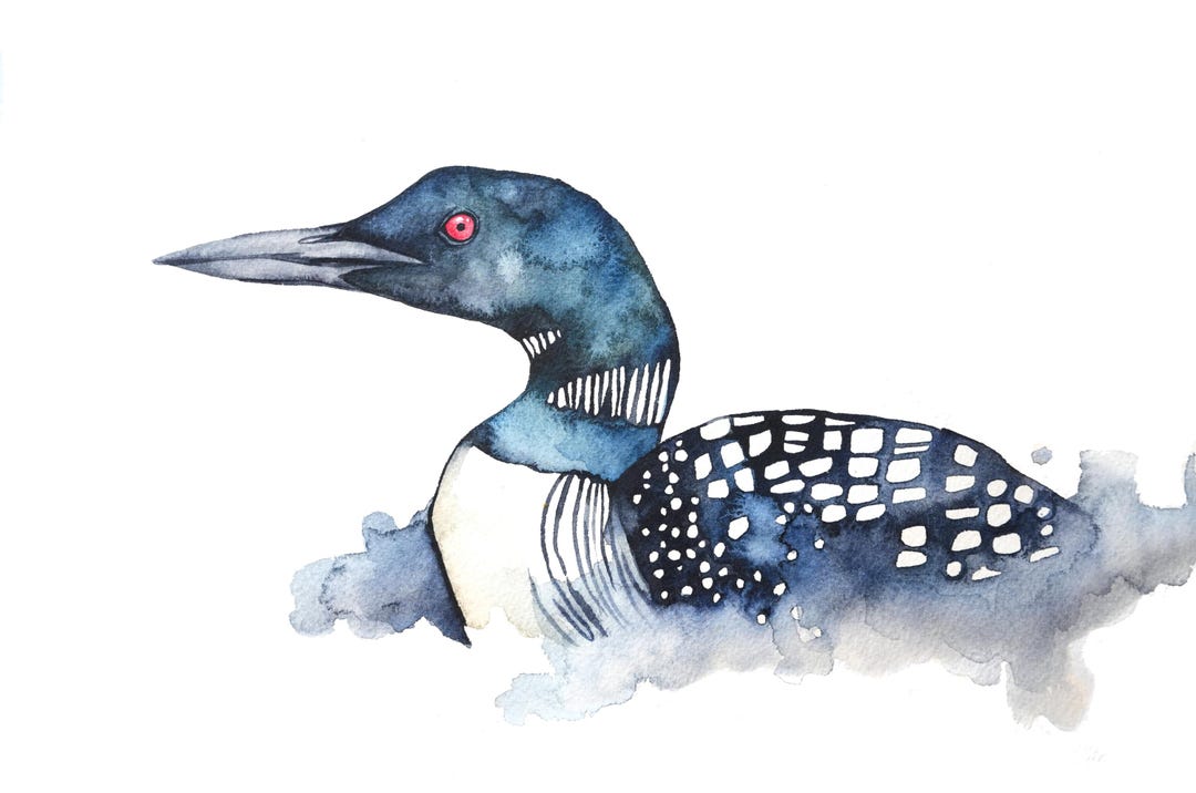 Common Loon Watercolor Painting 9 X 12 Inches - Etsy