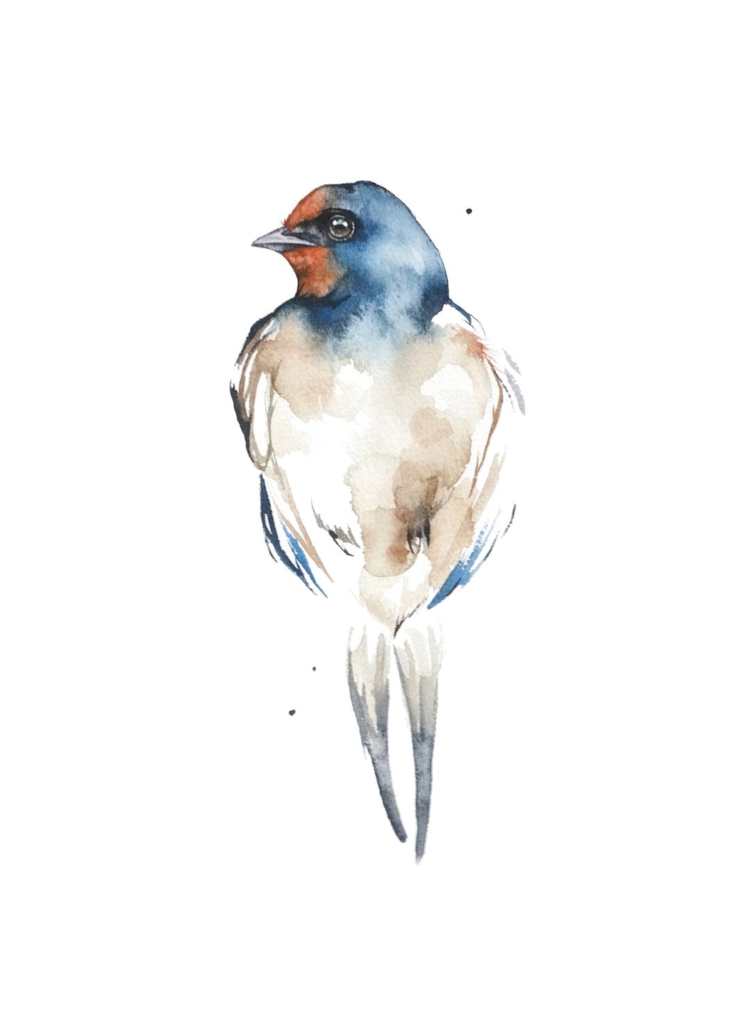 Barn Swallow Original Watercolor, 8 X 10 Inches - Etsy
