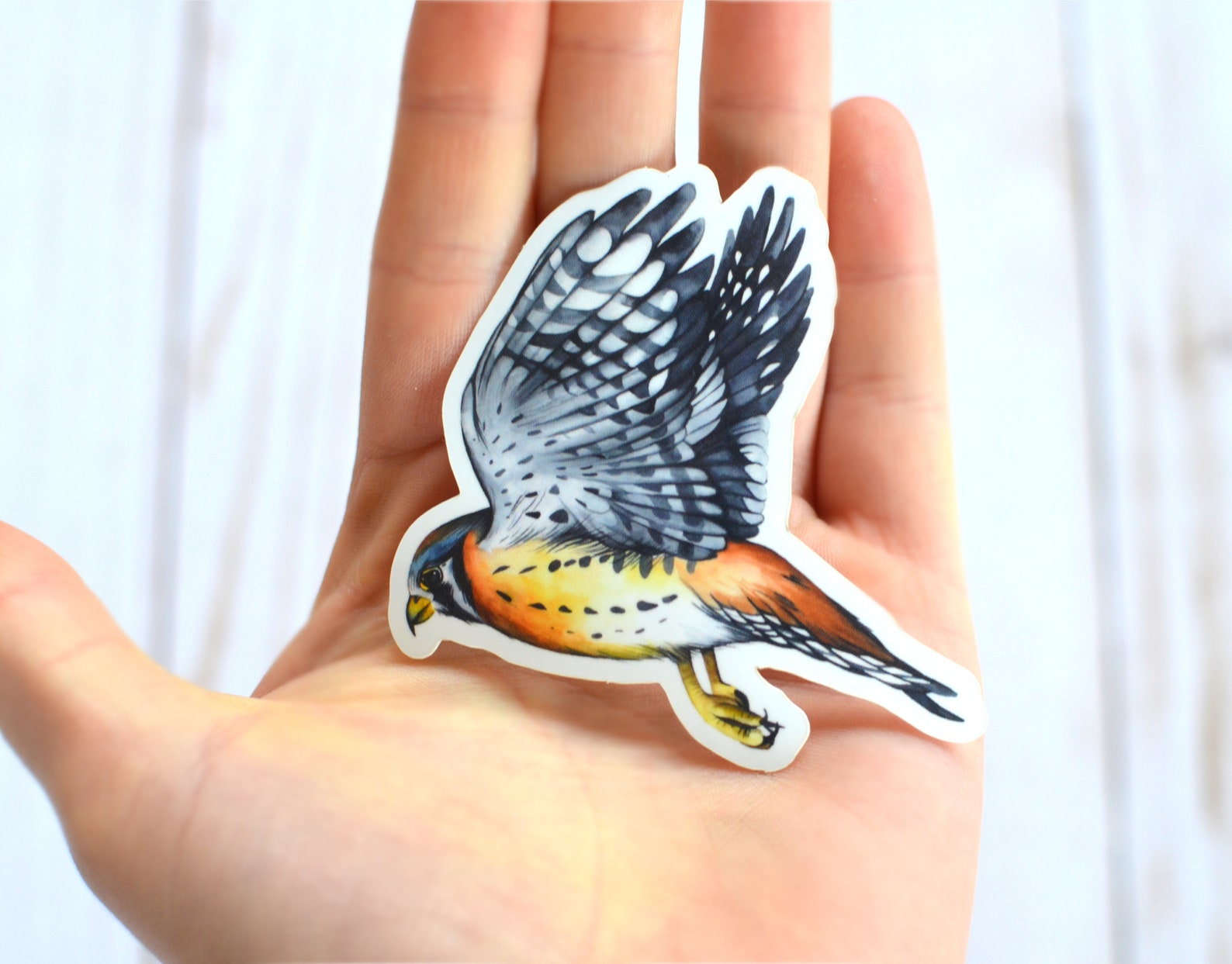 Vinyl Birds of Prey Sticker Pack of 3Bird stickers Harris | Etsy