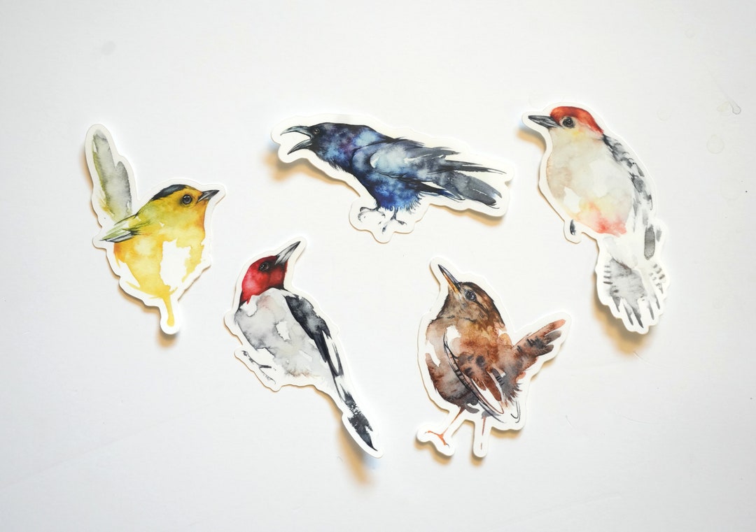 5 Vinyl Bird Sticker Pack, Red-headed Woodpecker, Red-bellied ...