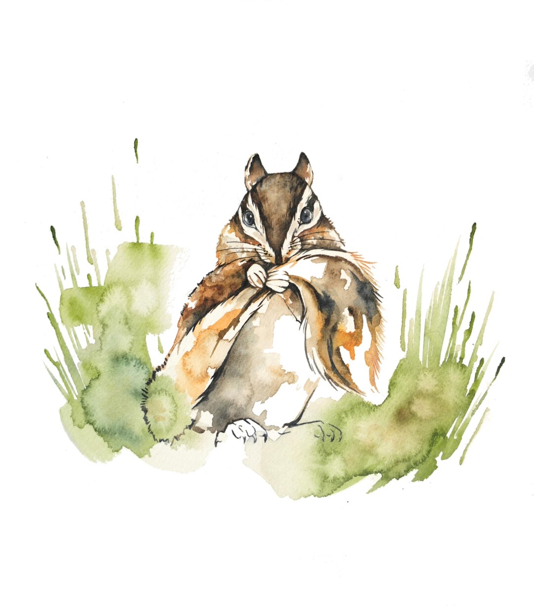 Chipmunk Print 11 X 14 Inches - Etsy