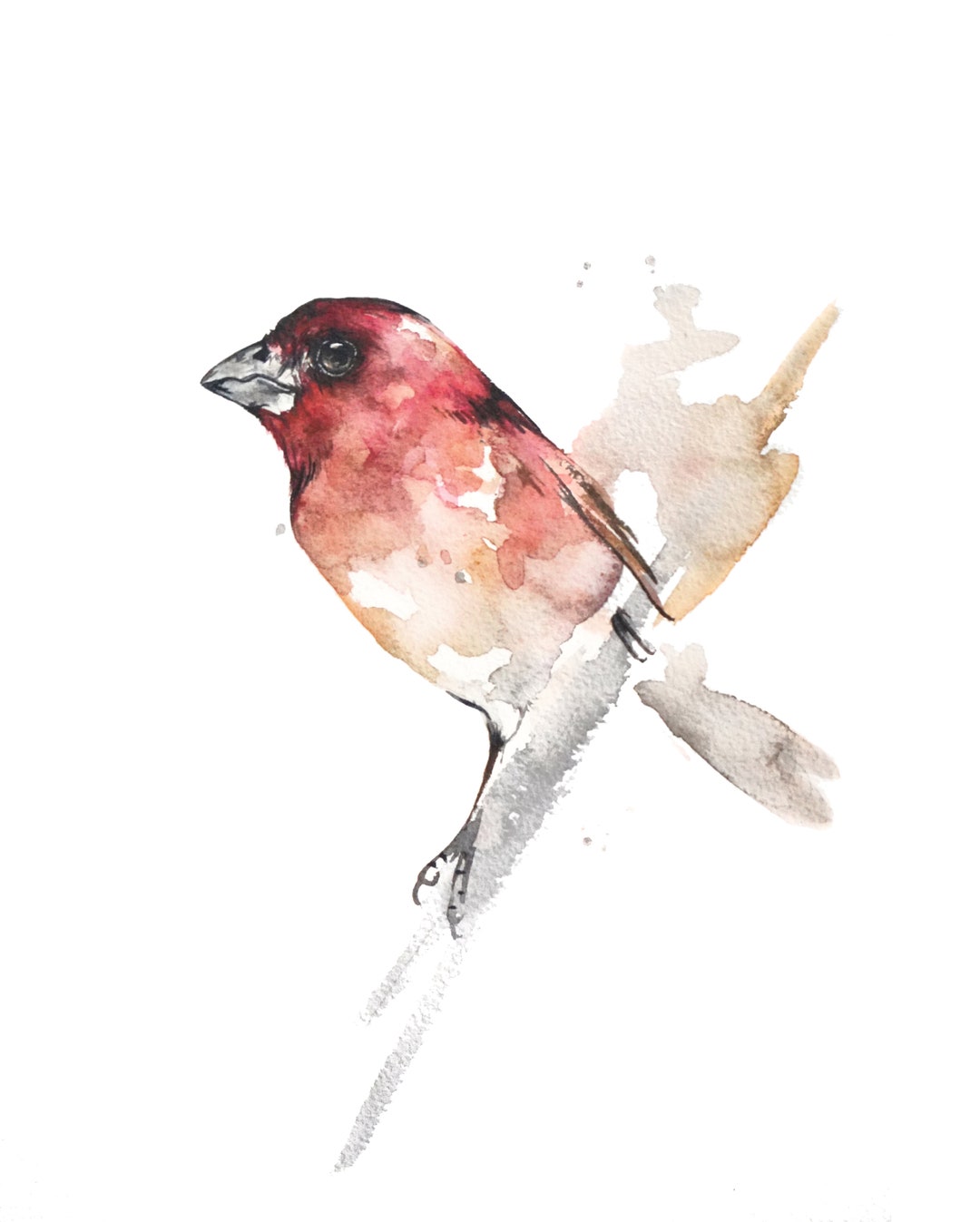Original Finch Watercolor Painting 8 X 10 Inches - Etsy