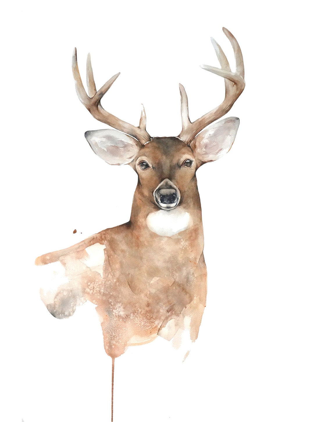 Watercolor Buck Print, White Tailed Deer - Etsy