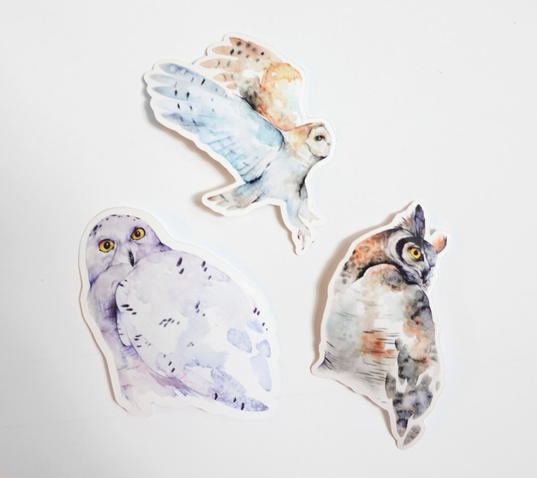 Watercolor Vinyl Owl Sticker Pack, Snowy, Great Horned and Barn Owl - Etsy