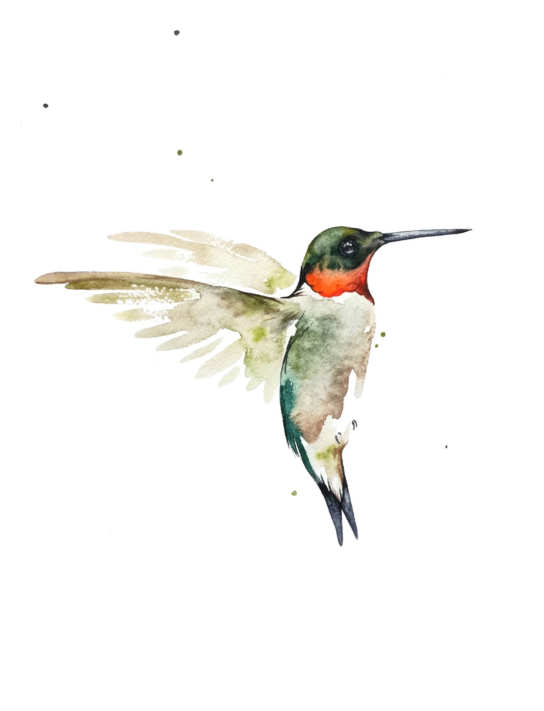 Hummingbird Watercolor Print 8 X 10 Inches - Etsy