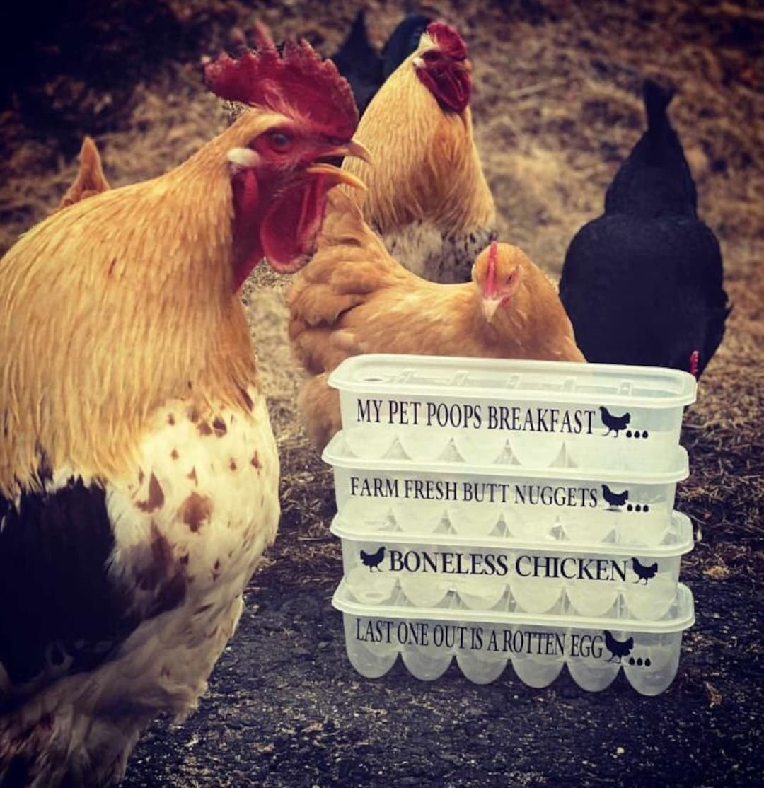 Funny Egg Cartons for Chicken Lovers | Christmas Chicken Gift ...