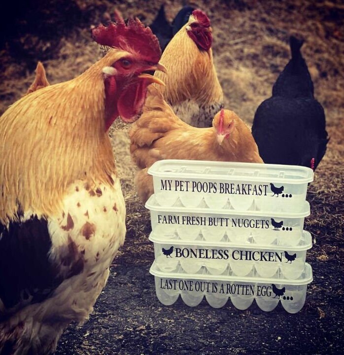 Funny Egg Cartons for Chicken Lovers | Christmas Chicken Gift ...