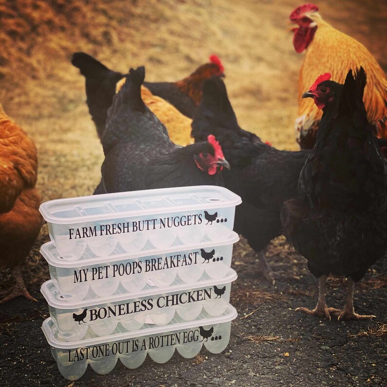 Funny Egg Cartons for Chicken Lovers | Christmas Chicken Gift ...