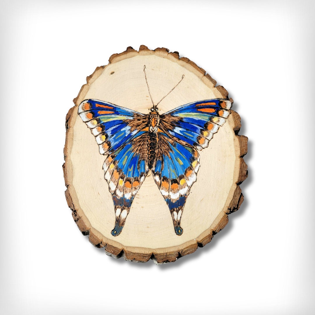 Butterfly Hand Painted Pyrography Wood Slice Art (7"x8") - Etsy