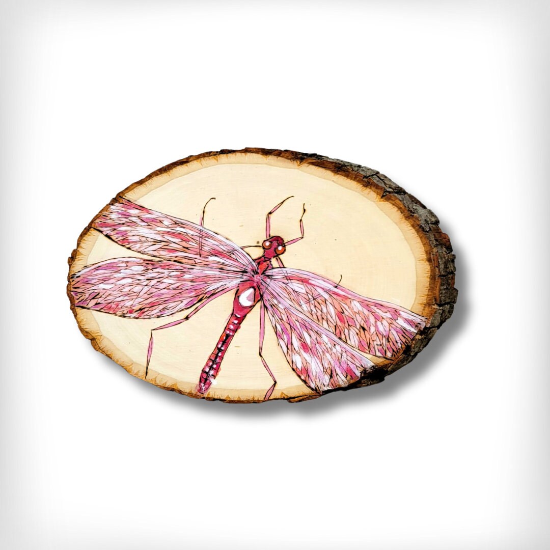 Dragonfly Hand Painted Pyrography Wood Slice Art (6"x8") - Etsy