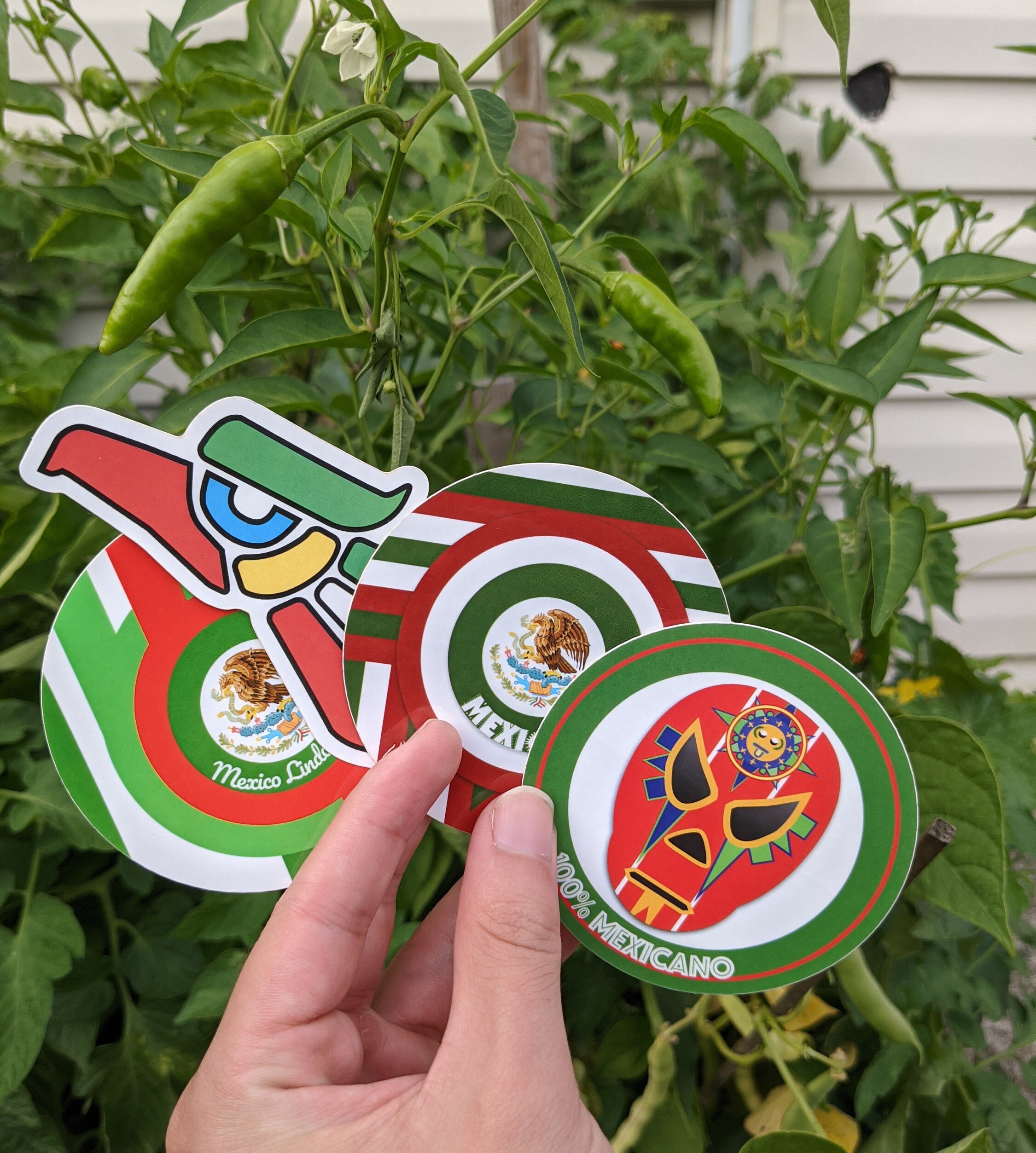 Calcomanías de símbolos mexicanos / Paquete de pegatinas de México ...