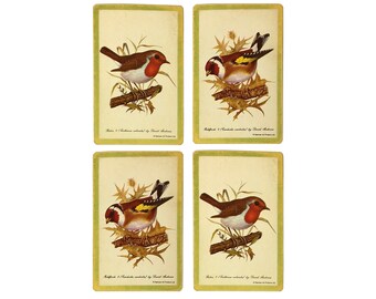 Robin Goldfinch | Etsy