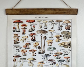 Fungi Poster - Etsy