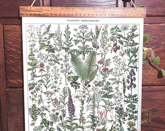 Vintage Medicinal Plants Poster Print - Etsy