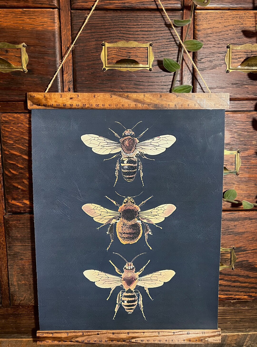 Distressed Bee Poster - Etsy