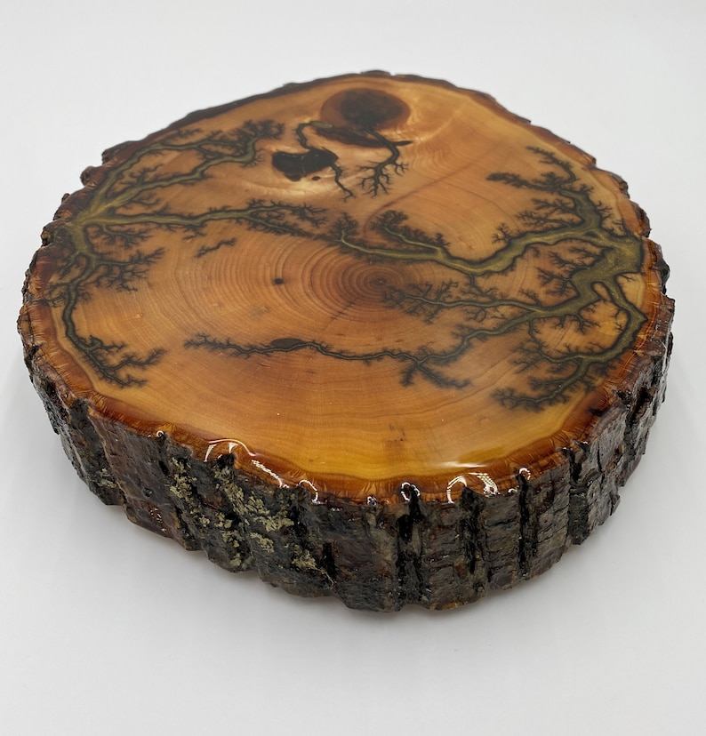 Fractal Table Center W/gold Epoxy Inlay - Etsy