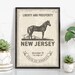 New Jersey State Symbol Poster, New Jersey State Poster Print, State ...