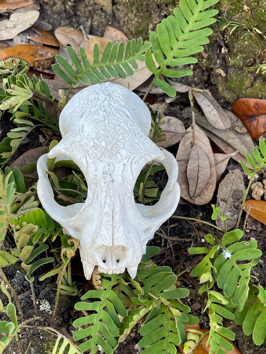 Hand Sculpted Stoneware Bobcat Skull With Carved Dream Catcher ...