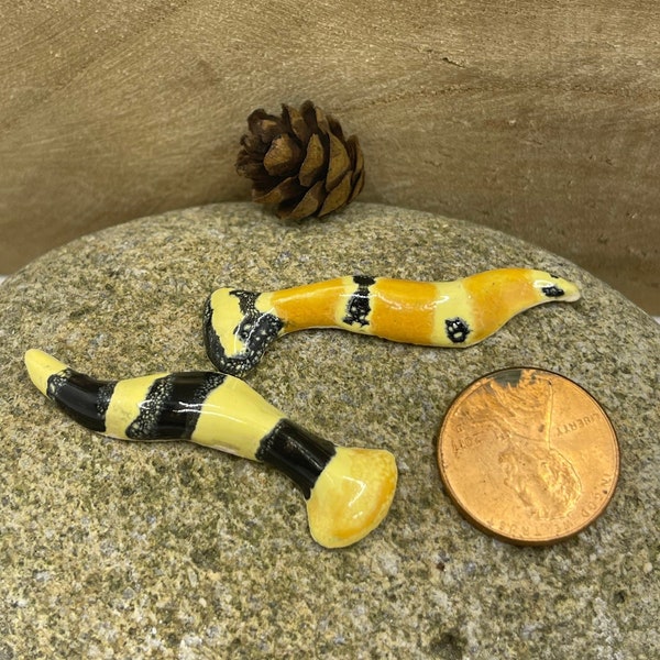 Ceramic Garden Worm - Etsy