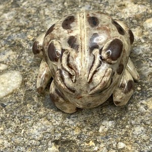 Southern Toad Miniature Ceramic Figurine, Frog Statue, Hand Sculpted ...