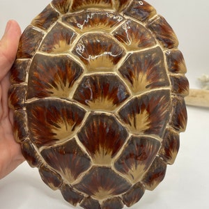 Ceramic Turtle Shell Wall Art, Handmade Turtle Shell Faux Taxidermy - Etsy