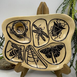 Ceramic Insect Themed Paint Palette With Water Cup, Bug Handmade ...