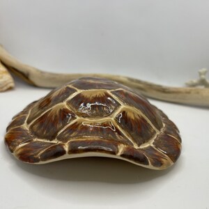 Ceramic Turtle Shell Wall Art, Handmade Turtle Shell Faux Taxidermy - Etsy