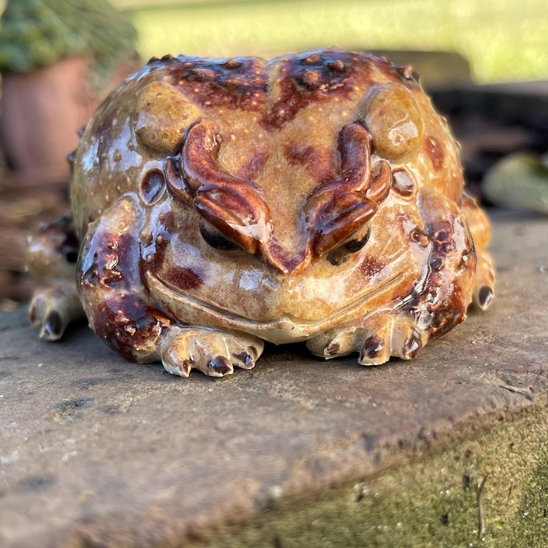 Frog Ceramic Tile - Etsy