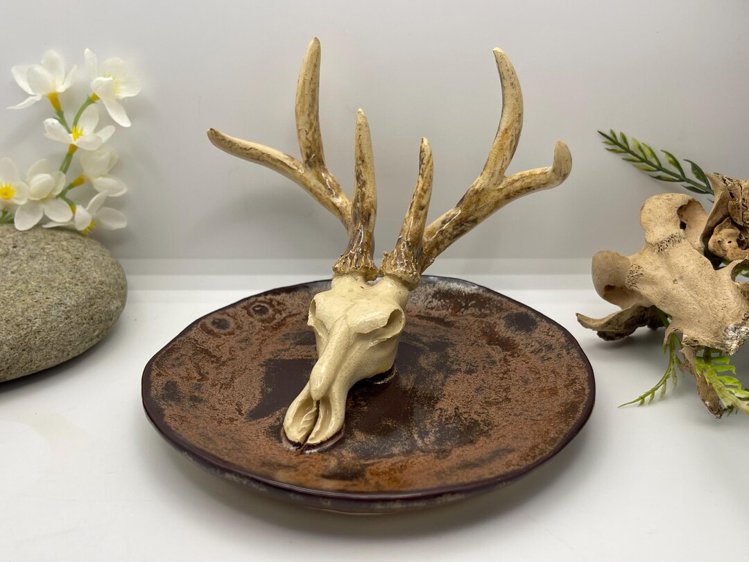 Antler Ring Dish, White Tailed Deer Skull, Jewelry Rack, Trinket Dish ...