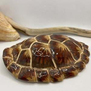 Ceramic Turtle Shell Wall Art, Handmade Turtle Shell Faux Taxidermy - Etsy