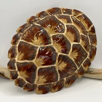 Turtle Shell - Etsy
