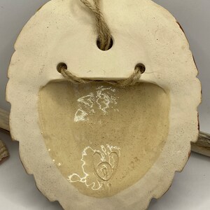 Ceramic Turtle Shell Wall Art, Handmade Turtle Shell Faux Taxidermy - Etsy