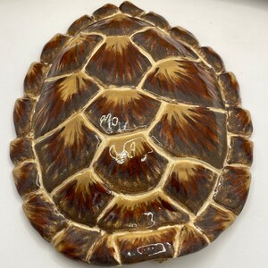 Ceramic Turtle Shell Wall Art, Handmade Turtle Shell Faux Taxidermy - Etsy
