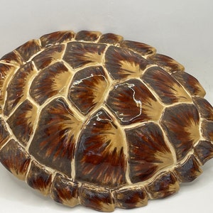 Ceramic Turtle Shell Wall Art, Handmade Turtle Shell Faux Taxidermy - Etsy