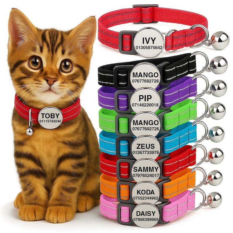 2-pack Breakaway Cat Collar, Personalized & Reflective. Custom Engraved ...