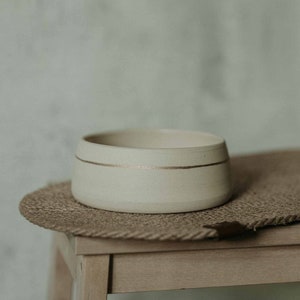 Ceramic Dog Bowls Set With Jute Pet Rug. Modern Pet Bowls. Dog Bowls ...