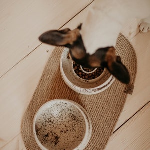 Ceramic Dog Bowls Set With Jute Pet Rug. Modern Pet Slow Feed Bowl. Dog ...
