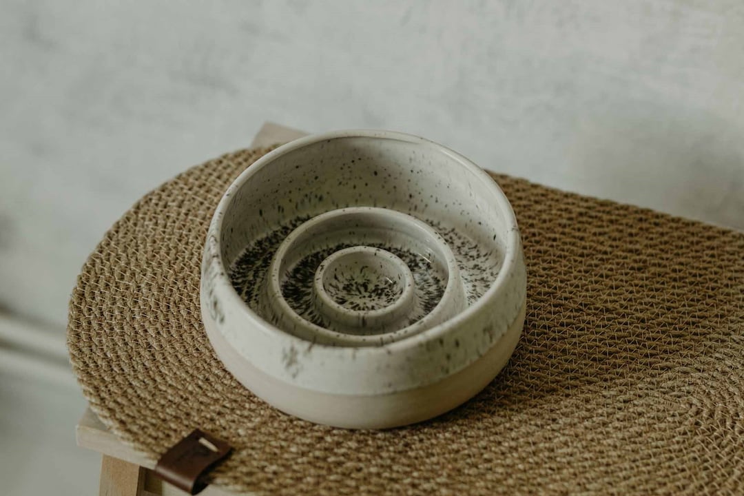 Ceramic Slow Feeder Dog Bowl. Modern Pet Bowl. Handmade Pottery Cat ...