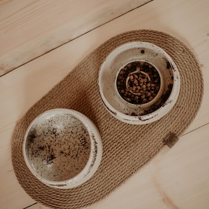 Ceramic Dog Bowls Set With Jute Pet Rug. Modern Pet Slow Feed Bowl. Dog ...
