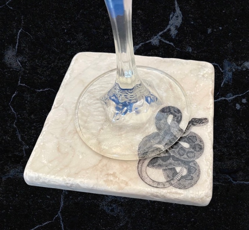 Snake Decor Snake Coasters Vintage Snake Rattlesnake - Etsy
