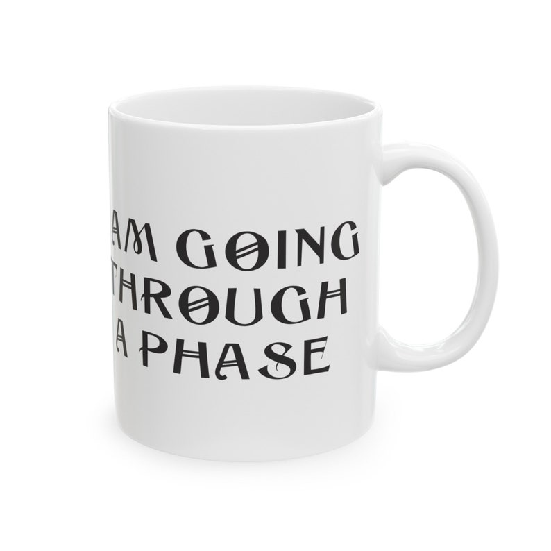 Im Going Through A Phase Iron Carbon Phase Diagram Mug,funny Mug Gift ...