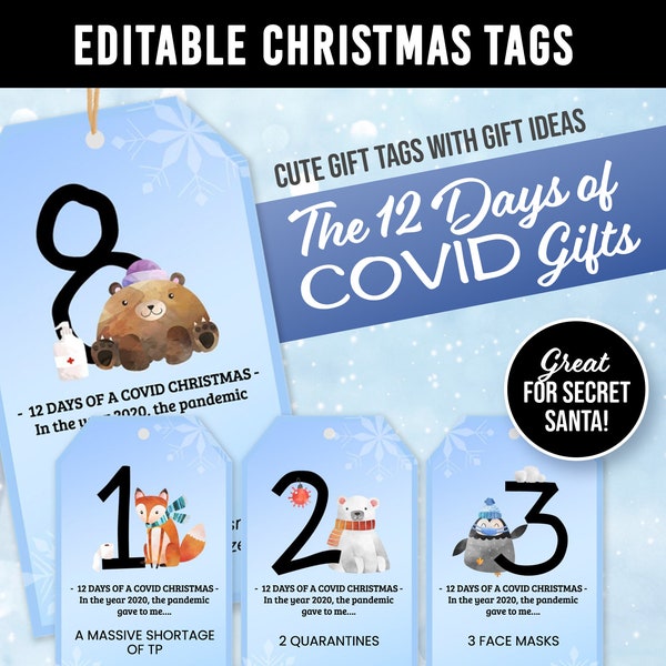 12 Days of Christmas Secret Santa - Etsy