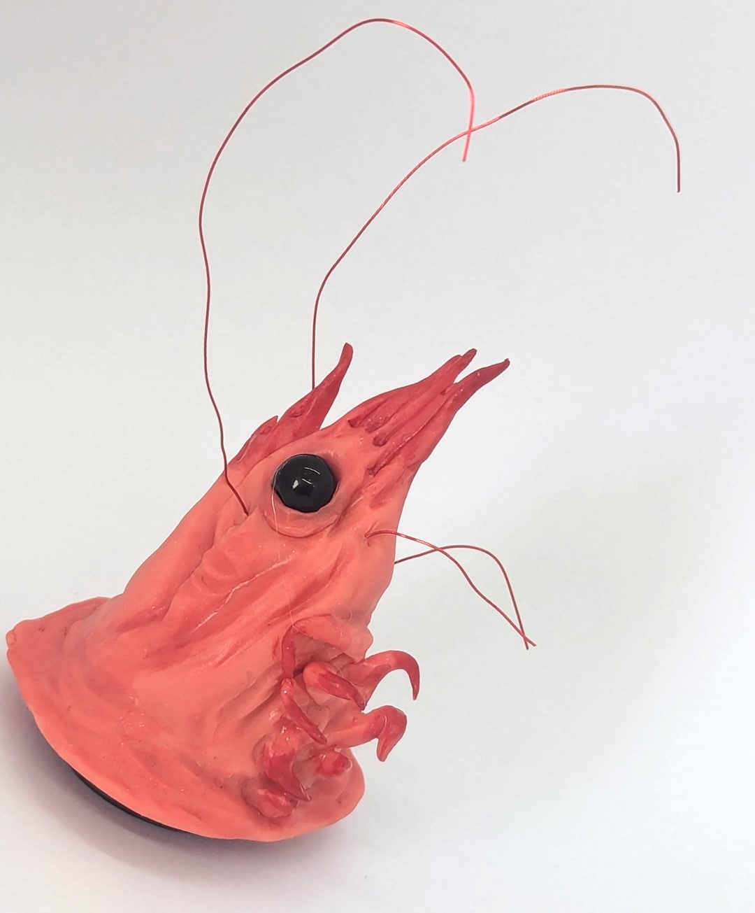 Shrimp Head Magnet: Weird Clay Sculpture, Unusual Gift - Etsy