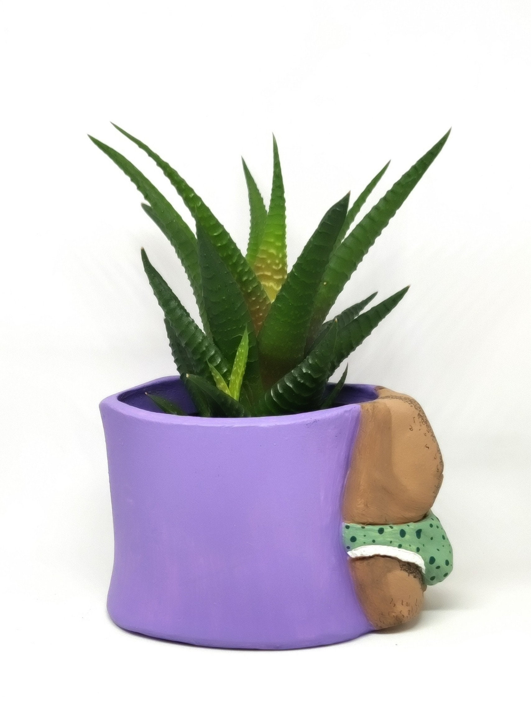 rude Penis pot succulent pot funny planter funny art 3D art weird ...