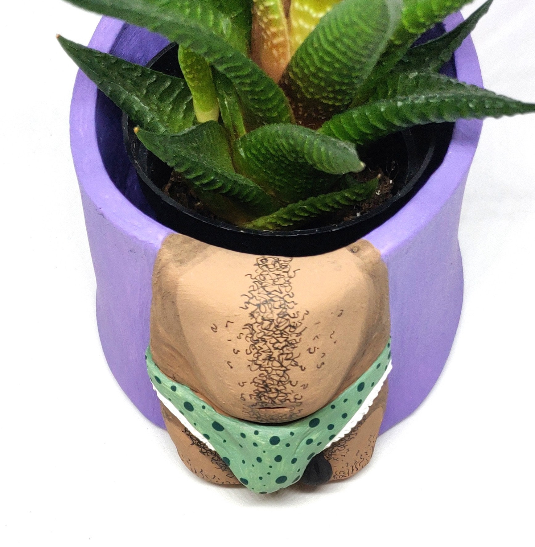 rude Penis pot succulent pot funny planter funny art 3D art weird ...