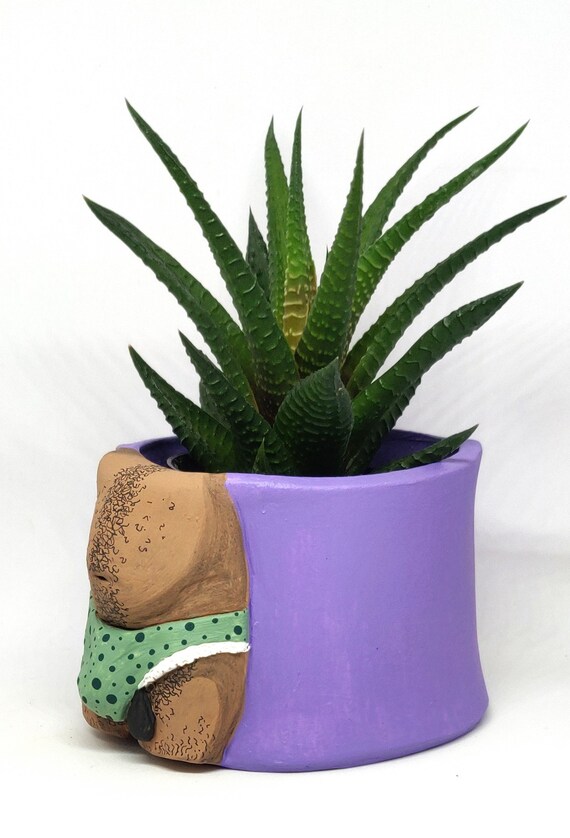 rude Penis pot succulent pot funny planter funny art 3D art weird ...