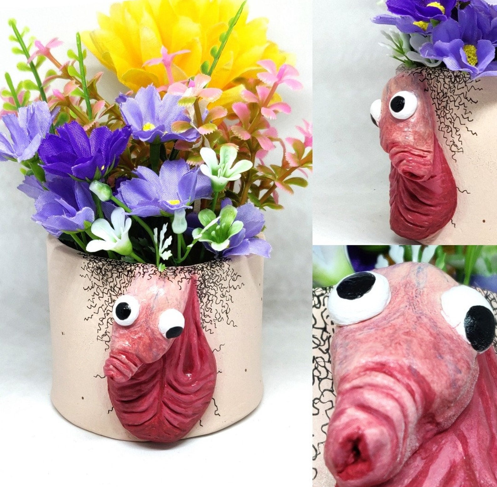 Googly Eyes Penis Pot - Quirky Small Plant Pot, Weird Pottery, Weird ...